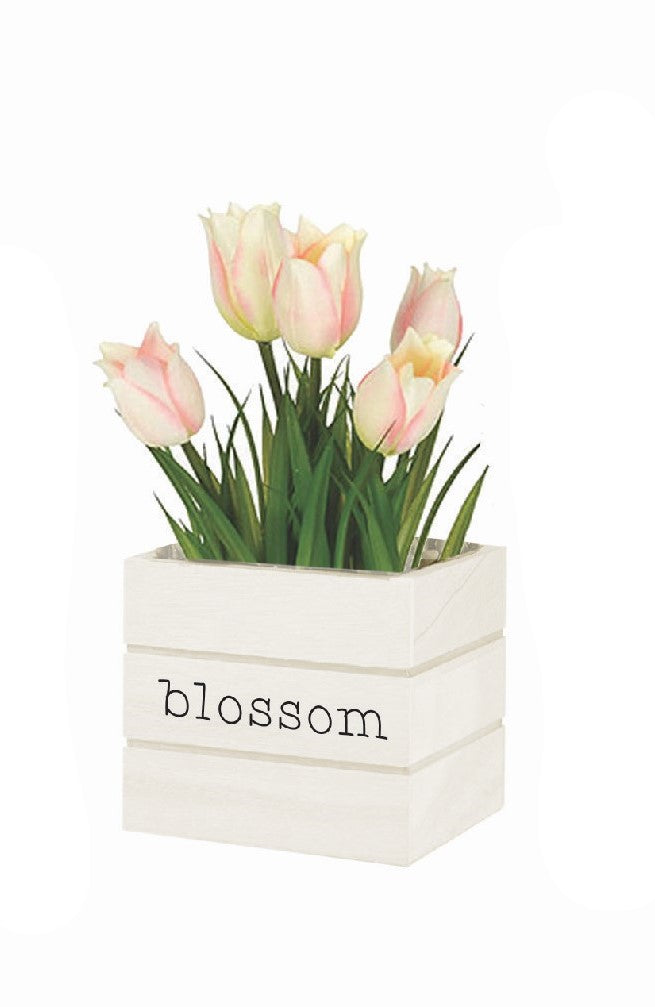Spring Planter Box – TOI Gifts & More